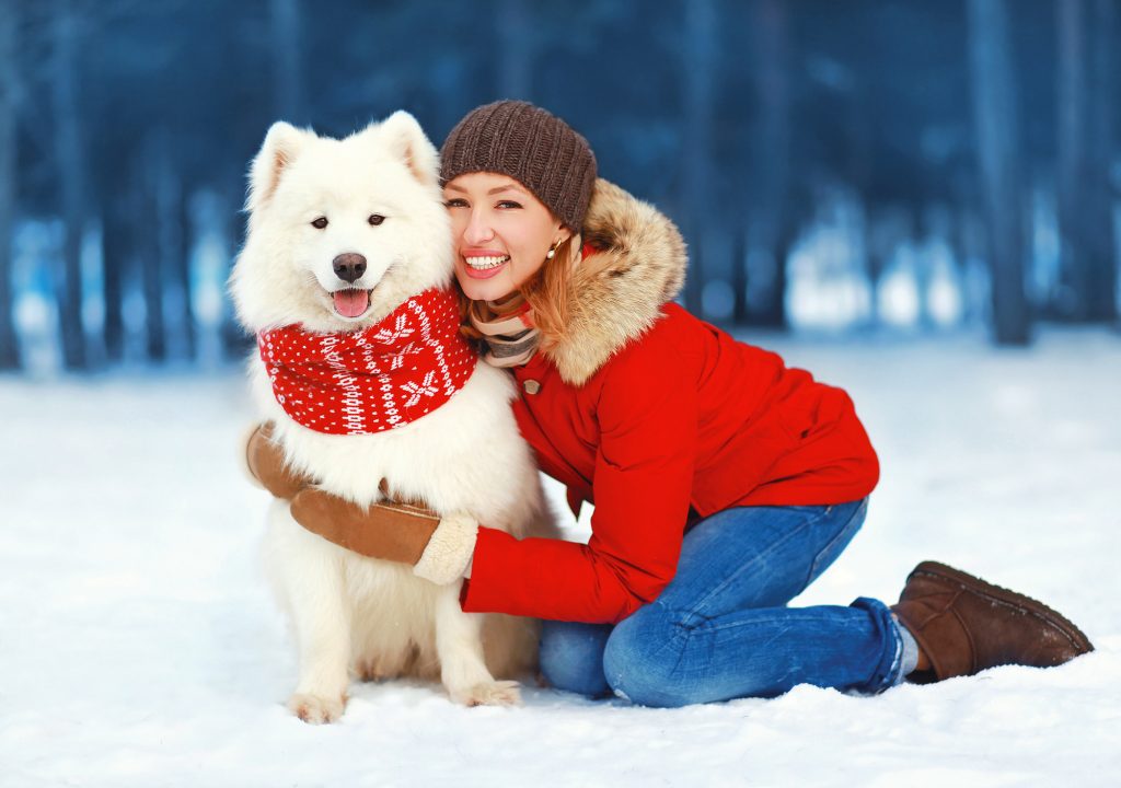 How To Choose An In-Home Pet Sitter In Marinette - The DOG Nannies by ...